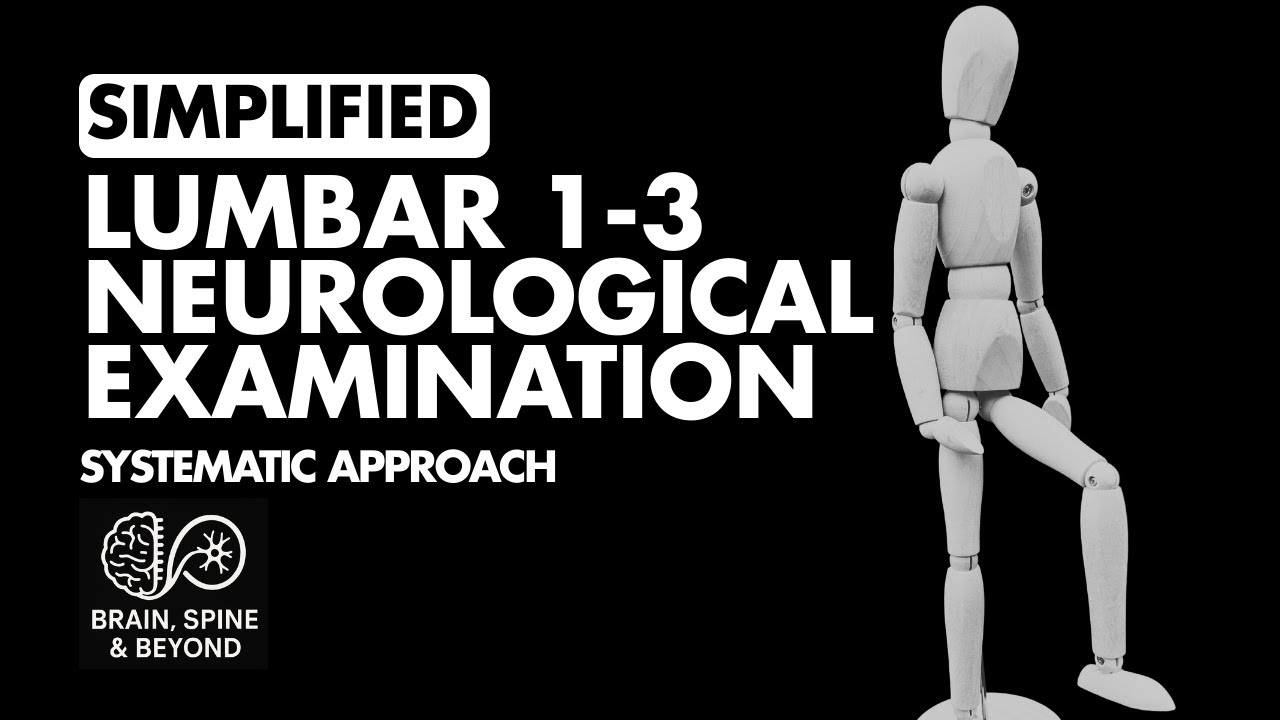 How to Examine L1-3 Nerve Roots? Neurological Examination Simplified ...