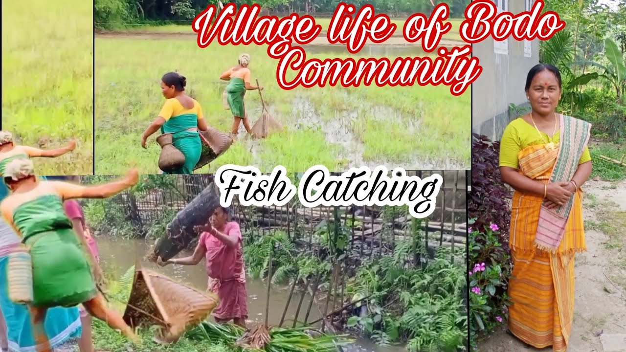 Village life of Bodo Community in Assam , Bodo woman catching fish ...