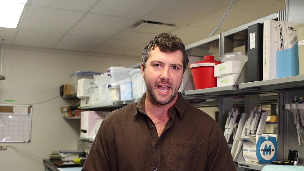 Broxton Bird Summer 2020 MURI Project - YouTube