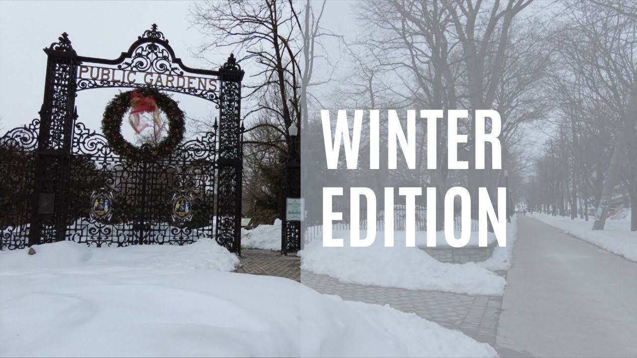 Winter Stroll: Exploring Halifax Public Garden’s Frosty Scene - YouTube