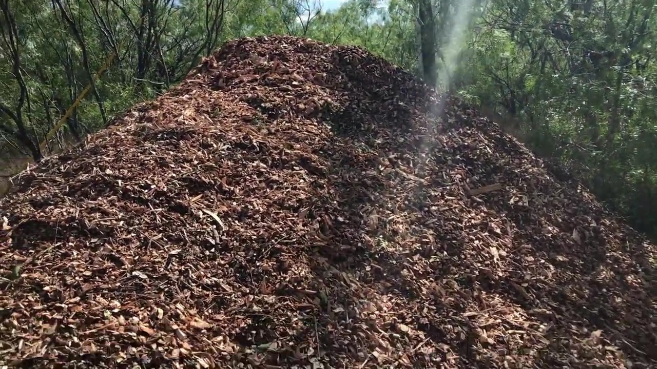 Wood Chip Pile 15 - YouTube