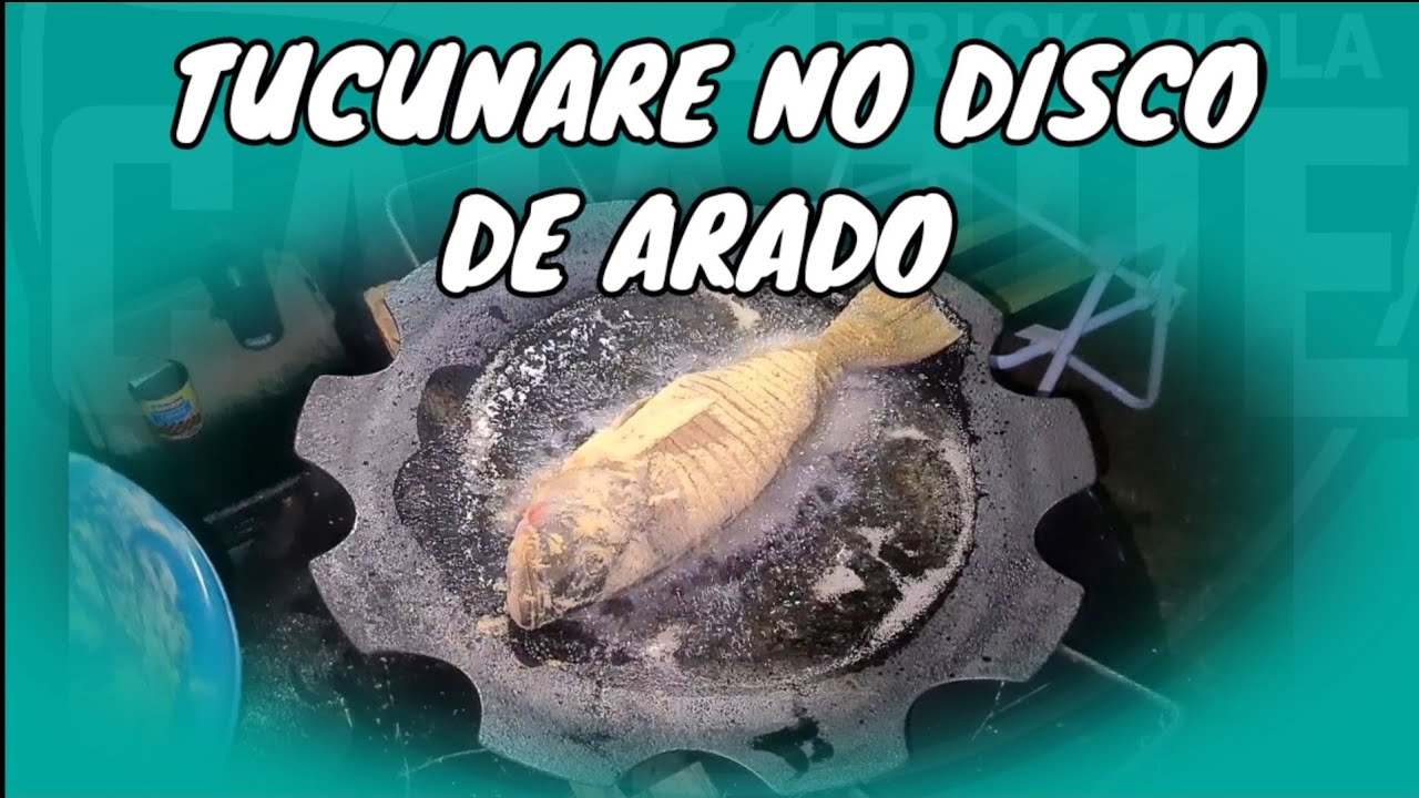 TUCUNARE NO DISCO DE ARADO @caiaqueevida - YouTube