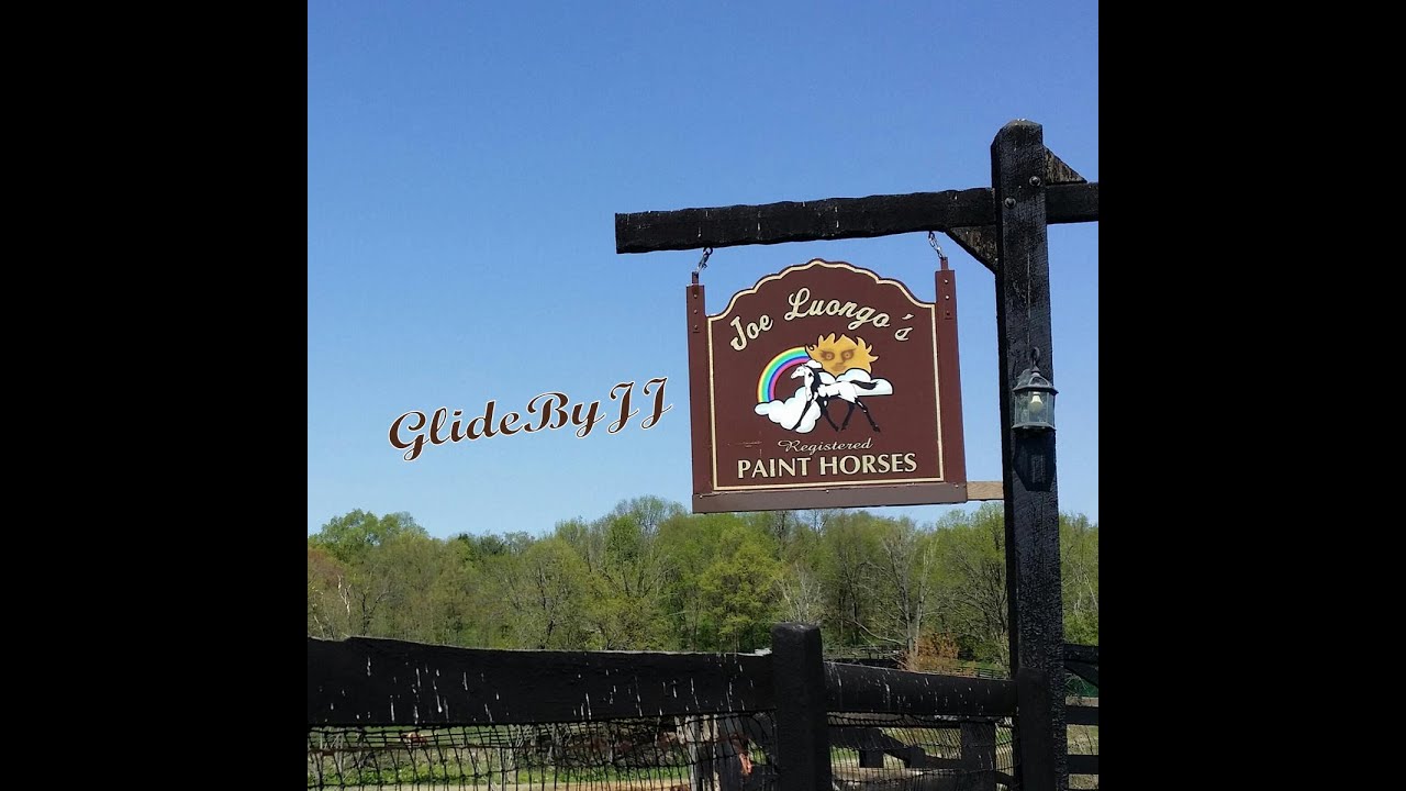 Joe Luongo's Paint Horses Sussex, NJ 07461 GlideByJJ - YouTube
