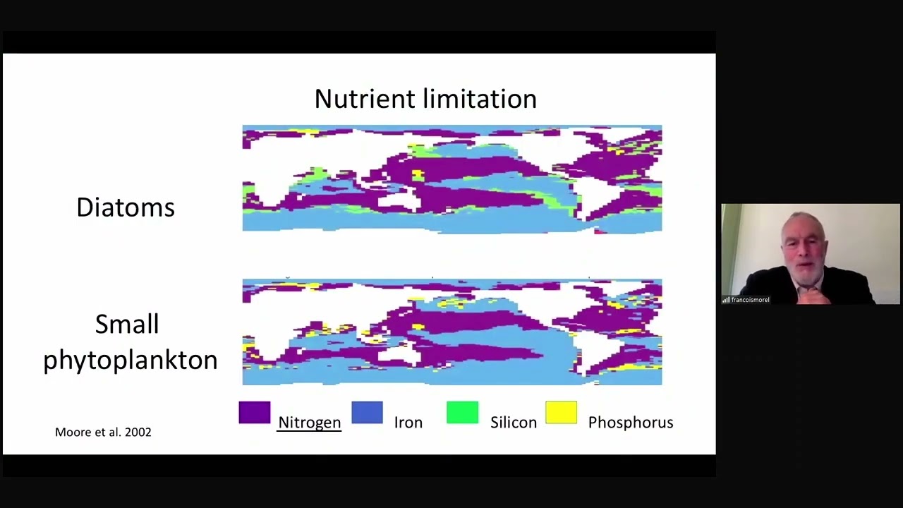 Francois Morel: The Effect of Ocean Acidification on Marine ...