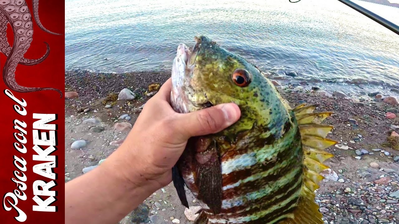 Me Detuve En La Carretera Para Castear Un Rato | VIDEO 1/6 Viaje ...