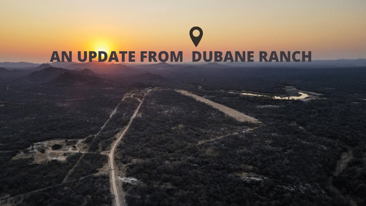 An Update From Dubane - August 2020 - YouTube
