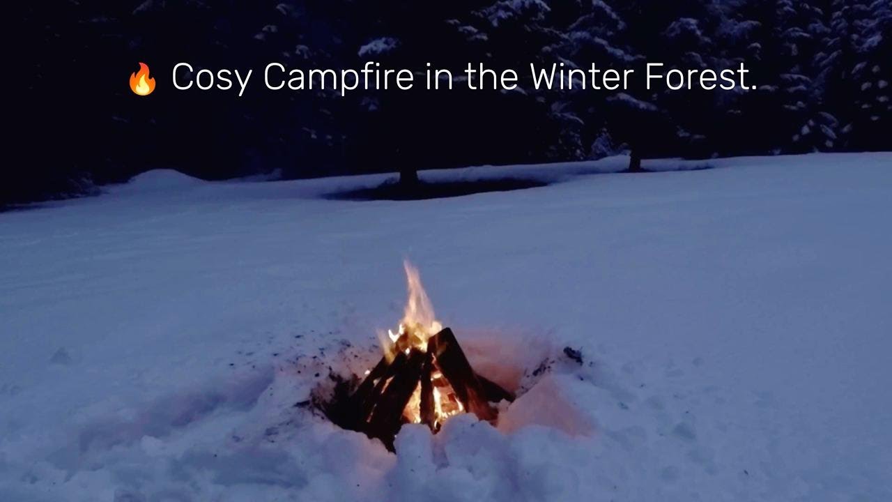 🔥 Cosy Campfire in the Winter Forest. Campfire Ambience with Crackling ...