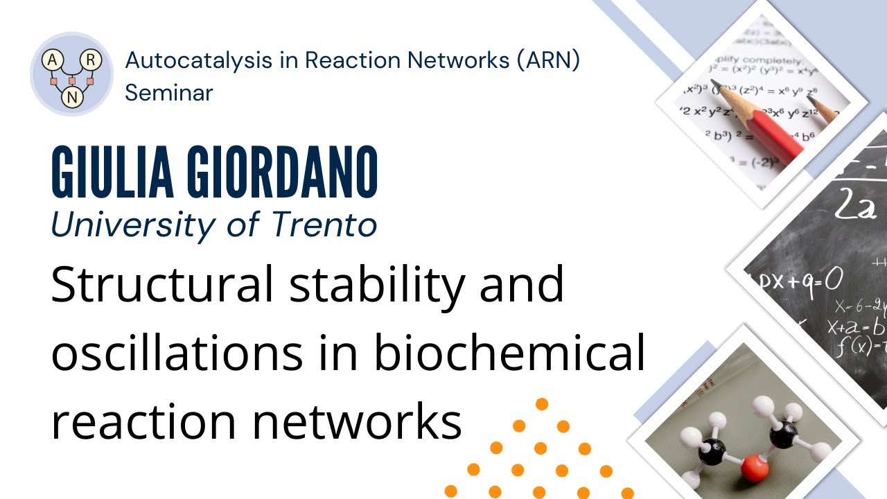 Giulia Giordano - Structural stability and oscillations in biochemical ...