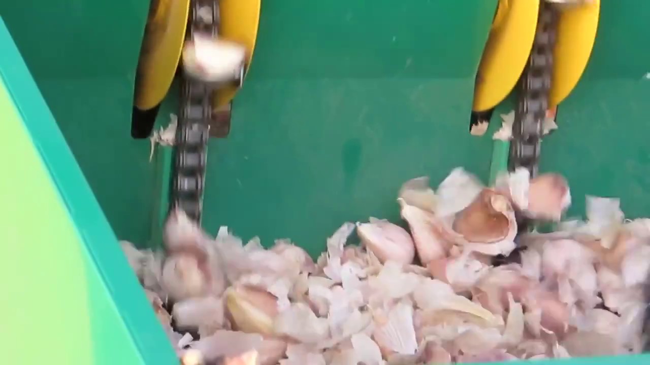 4 rows automatic garlic planter planting on bed - YouTube