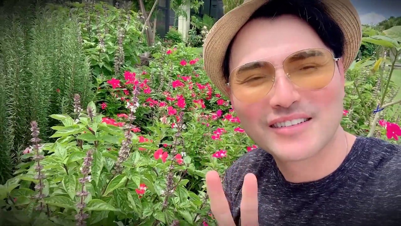 Leon Vũ đắm say trước những cảnh đẹp tại Florida | Leon Vu Vlog - YouTube