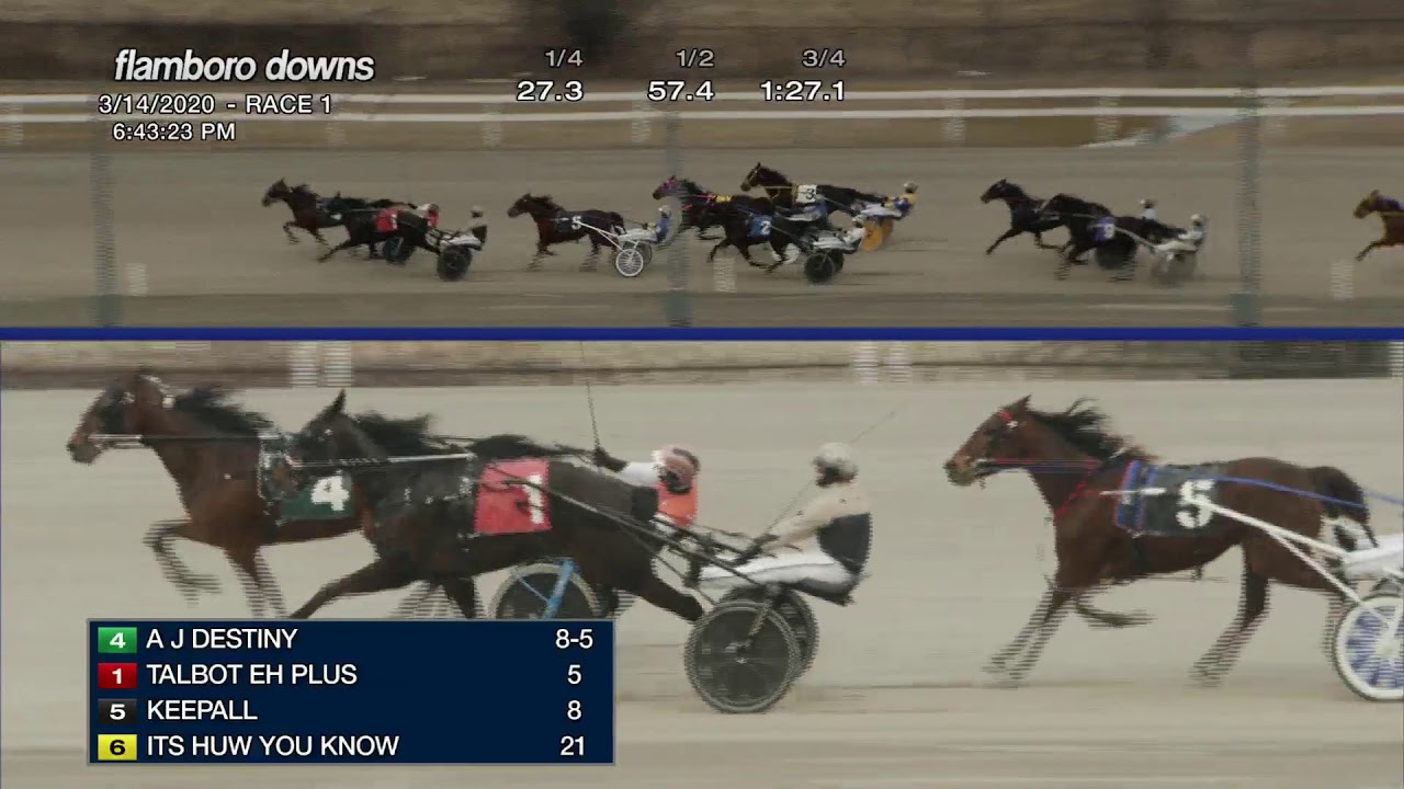 MARCH 14,2020-RACE 1-FLAMBORO DOWNS - YouTube