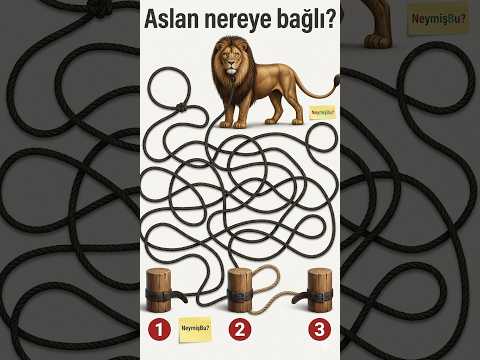 Niko Baba İle Sohbetss