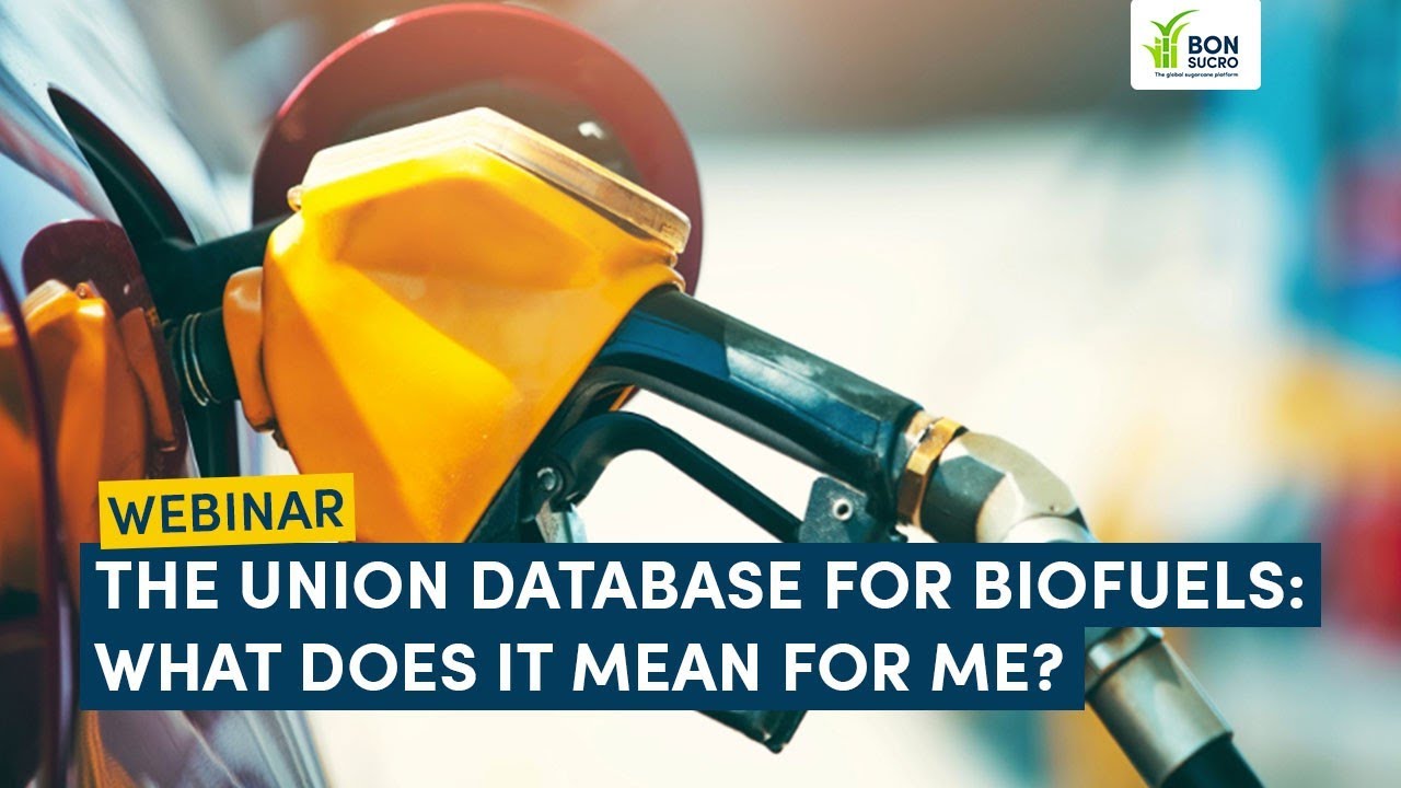 What do I need to know about the Union Database for Biofuels? - YouTube