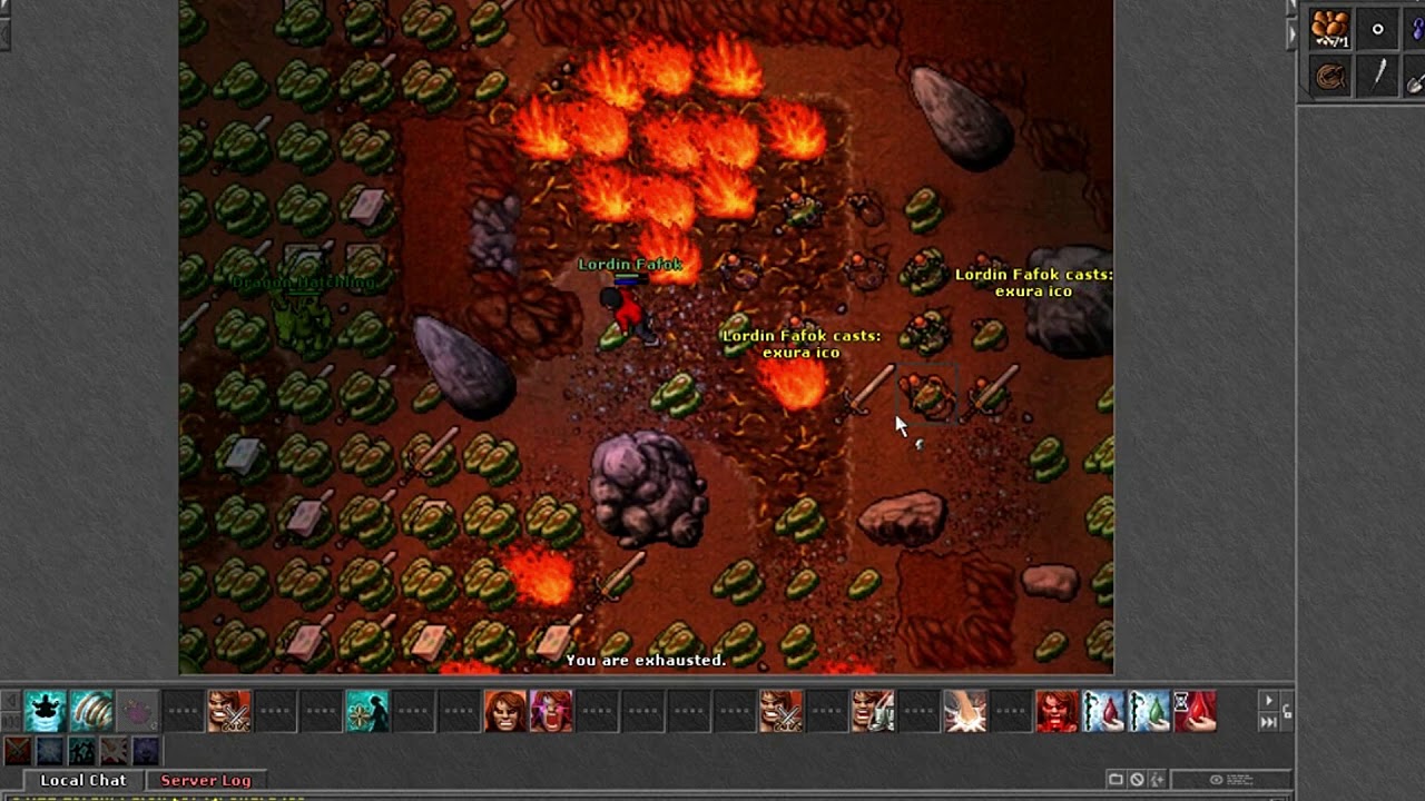 TIBIA HUNT DRAGON #FREE THAIS - YouTube