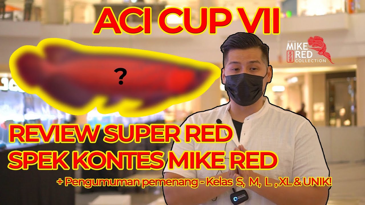 REVIEW AWANA CONTEST PRIBADI MIKE RED!! + ARWANA SUPER RED PEMENANG2 ...