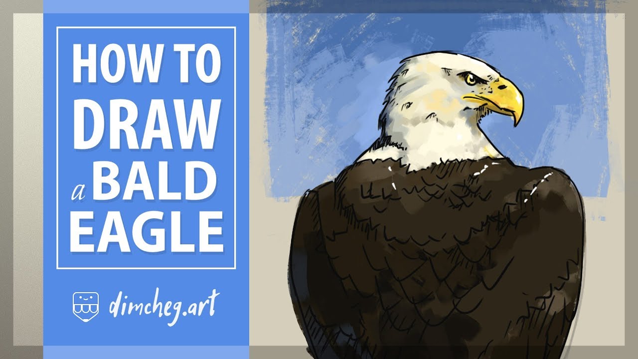 How to draw a Bald Eagle - dynamic sketching in Photoshop - YouTube