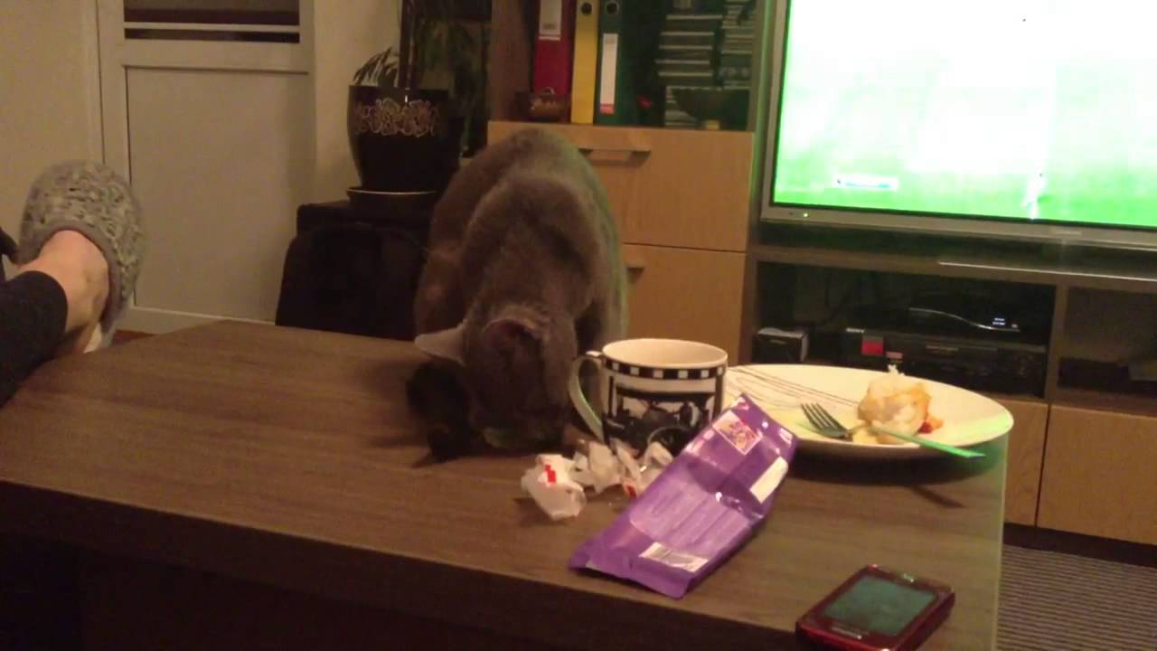 Geriam arbata - YouTube