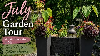 July Cottage Garden Tour 🌸 What’s Blooming in My Zone 4 Hybrid Cottage Garden