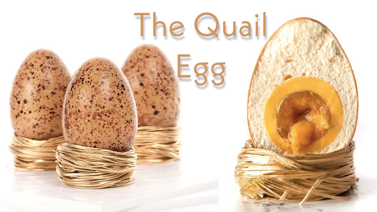 The Quail Egg! - YouTube