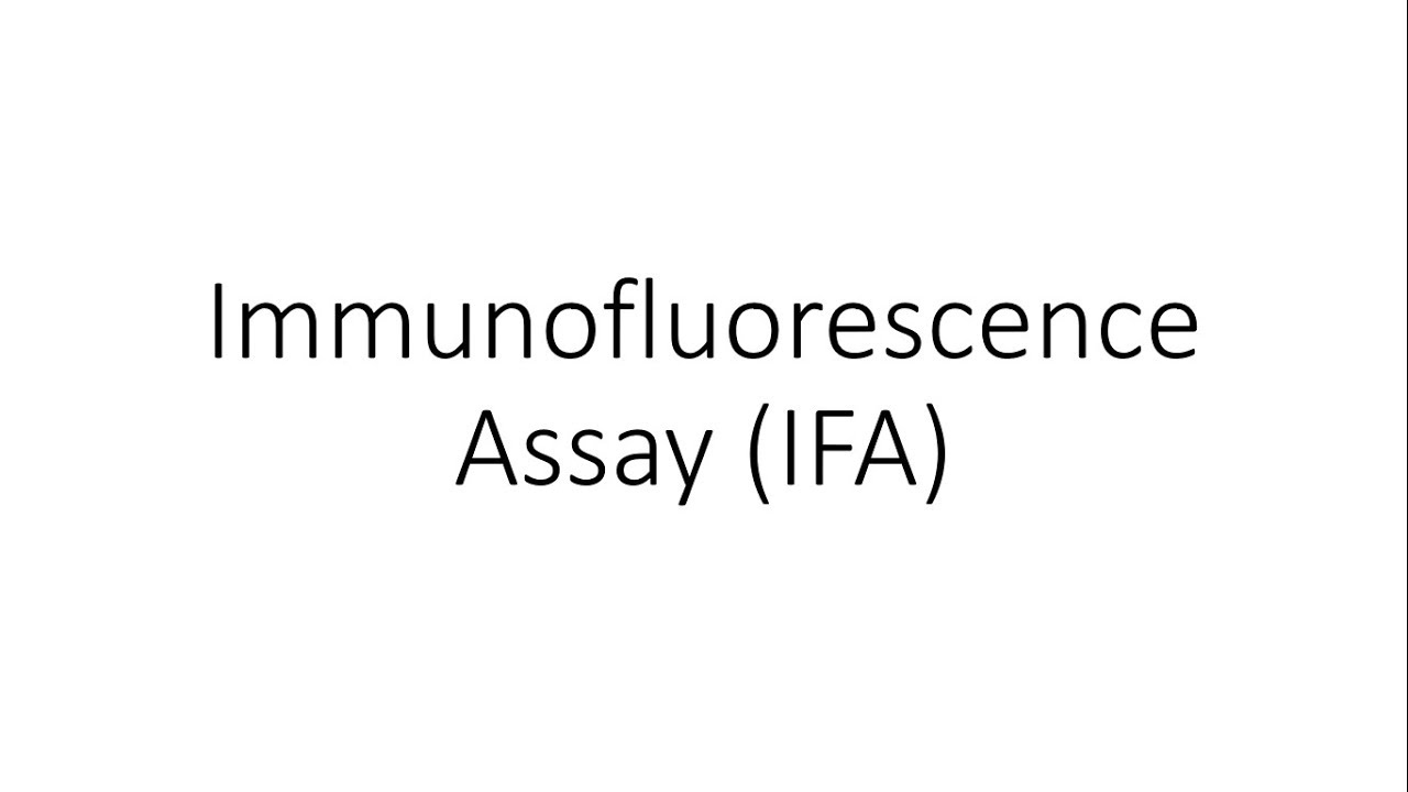 Immunofluorescence Assay (IFA) - Immunology - YouTube
