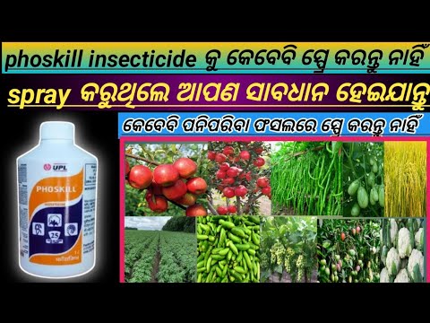 phoskill insecticide || କୁ ପନିପରିବା ଫସଲରେ ସ୍ପ୍ରେ କରିବା ନହିଁ କାହିଁକି ...
