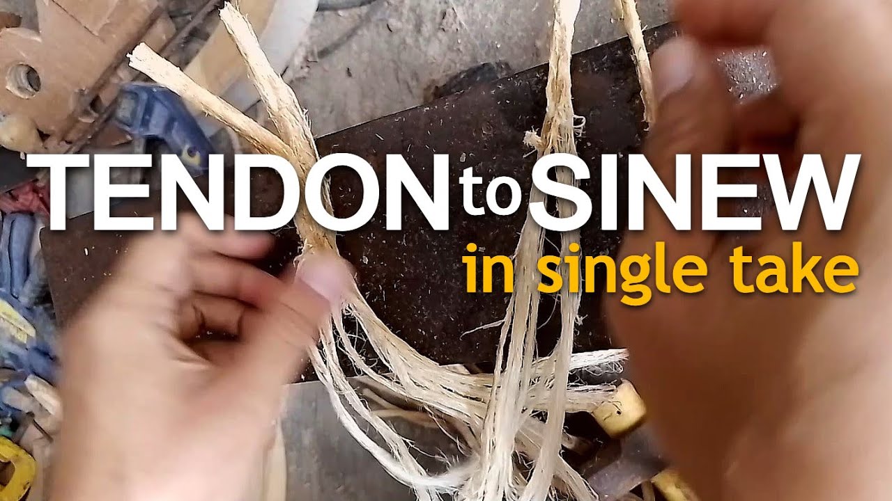 Tendon to Sinew - YouTube