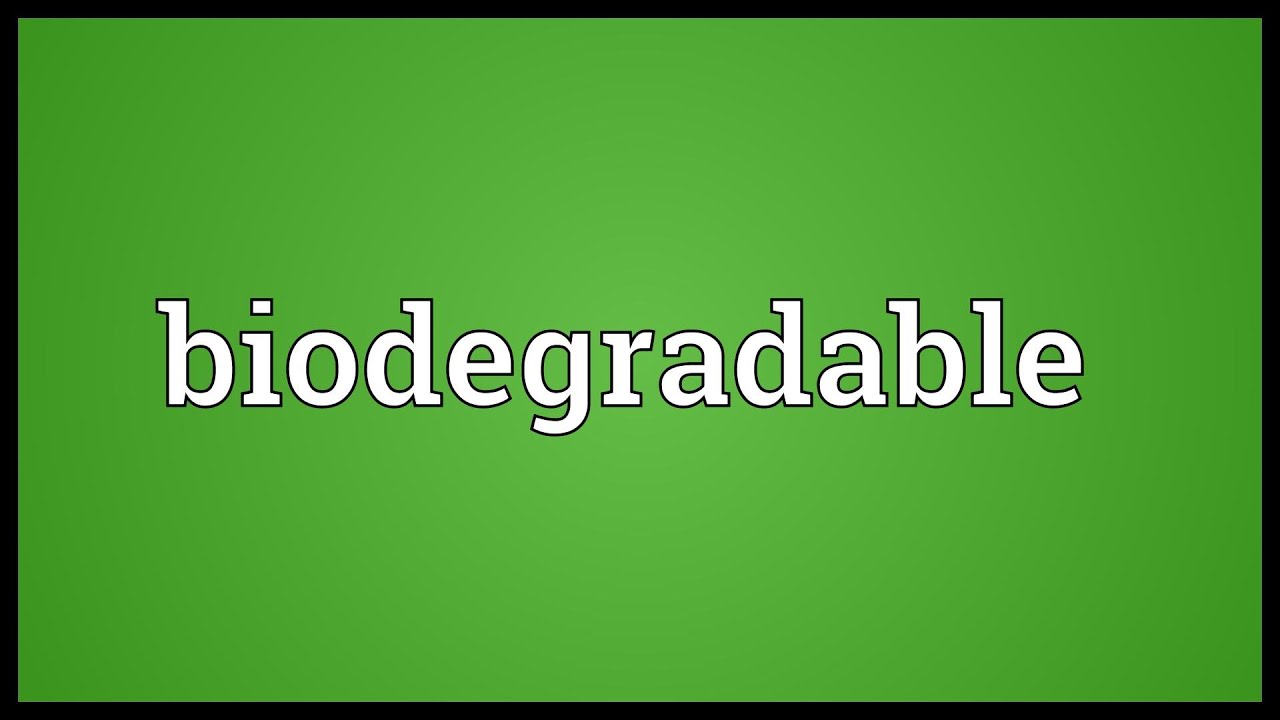 Biodegradable Meaning YouTube