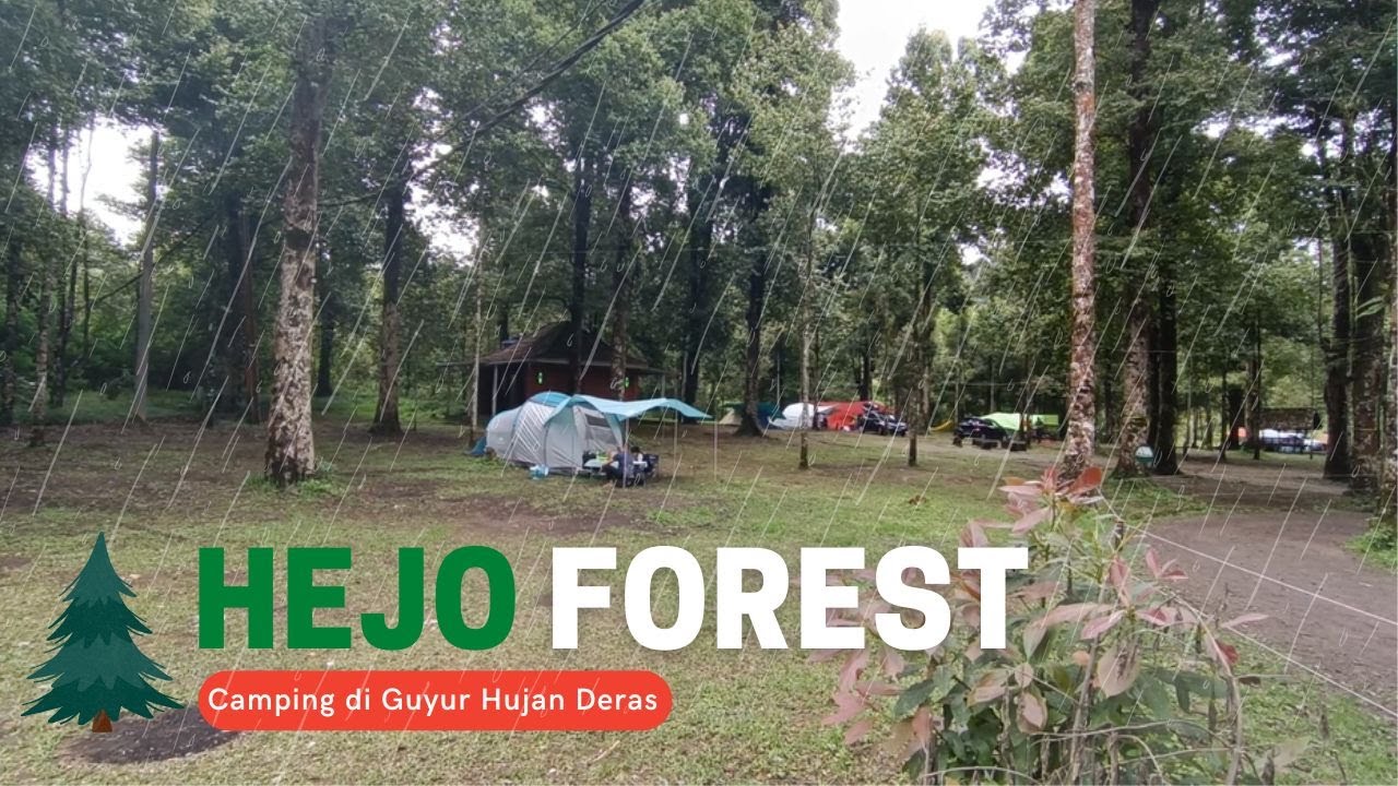 Camping Keluarga di Hejo Forest - Ciwidey || Diguyur Hujan Deras ...