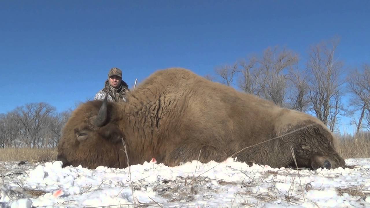Jim River Guide Service, The Ultimate Guided Experience - YouTube