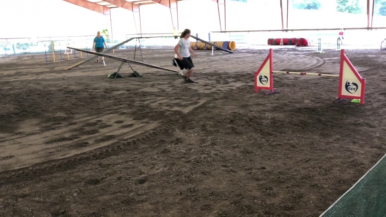 2019 High Flyer Agility UKI Classic - Integrity - YouTube