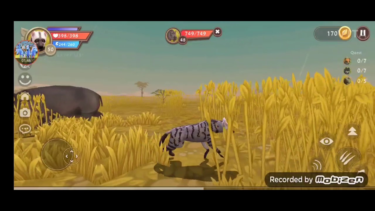 Part 1. Hyena- Smoke- A Hyena's life story - YouTube