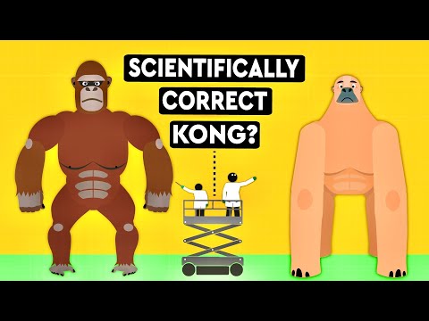 Could A Mammal As BIG As King Kong Ever Exist? DEBUNKED