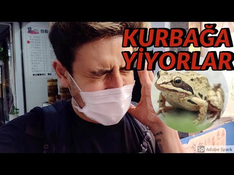 KURBAĞA YİYORLAR!! ÇİN'DE BİR PAZAR İLGİNÇ SOKAK YEMEKLERİ! WUHAN PAZARI GİBİ!