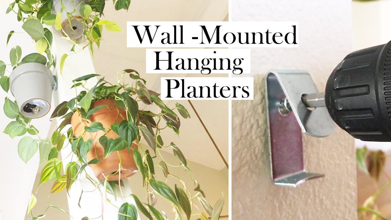 Plant Styling: Wall-Mounted Planters - YouTube