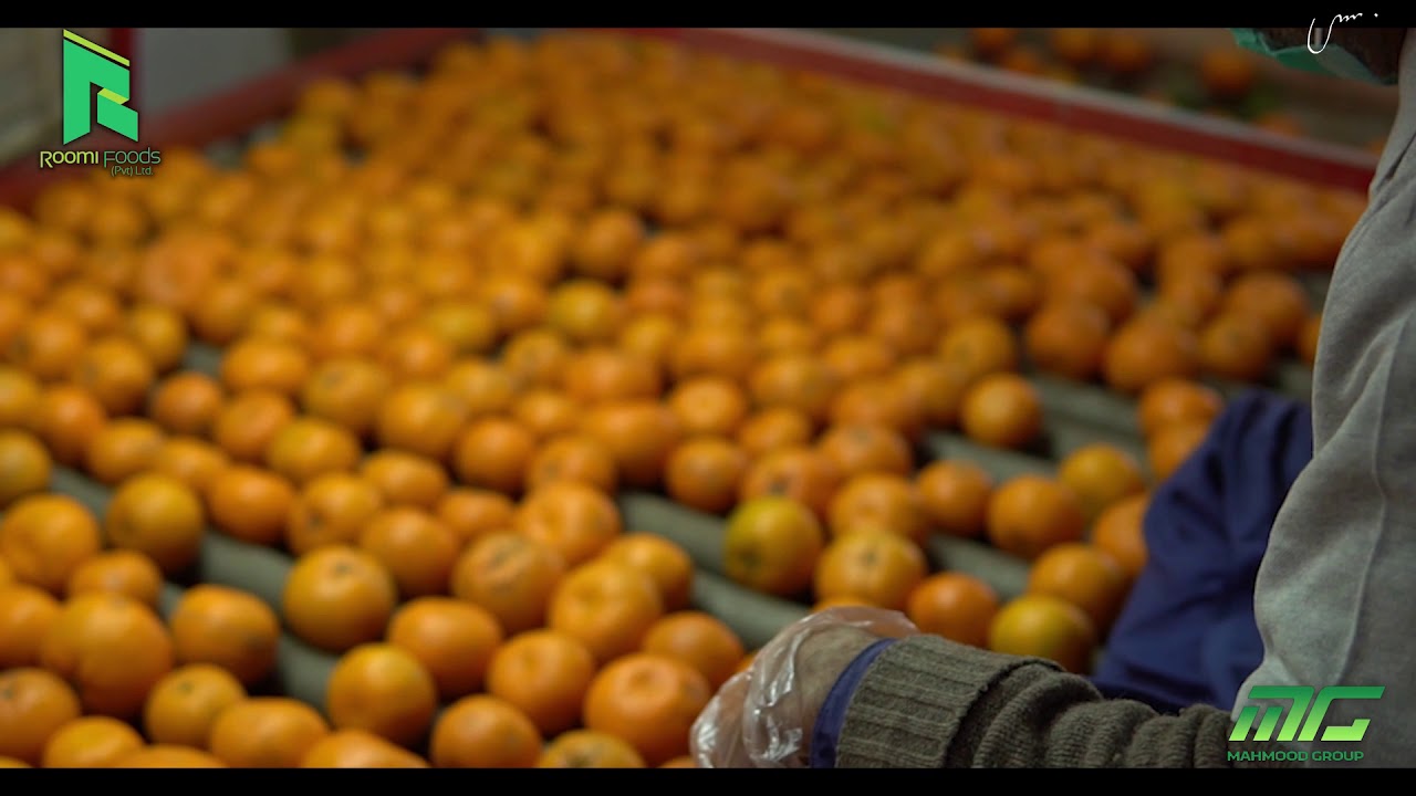 Roomi Foods - YouTube