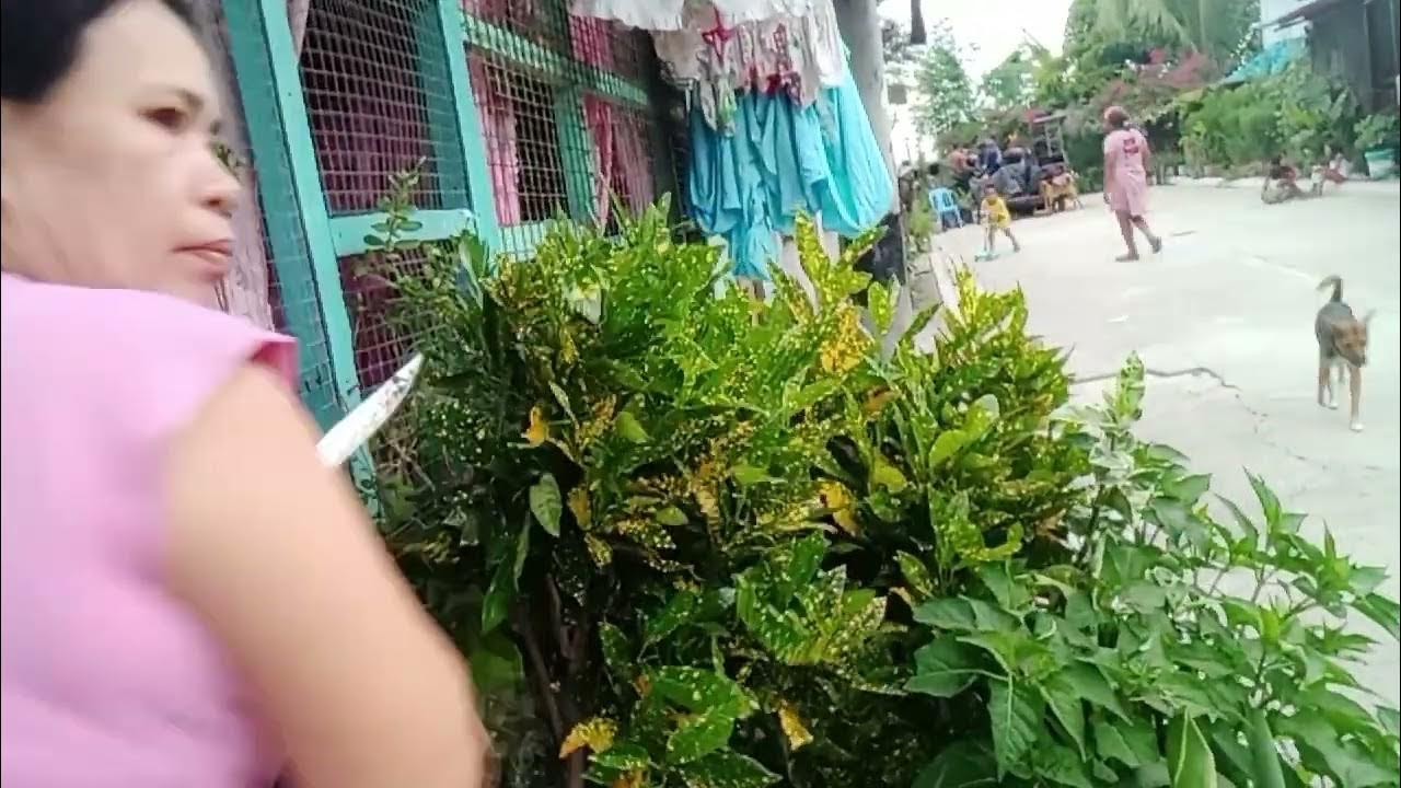 magtretrem ako Ng mga halaman ko sa harapan Ng bahay Namin pramaganda Ang tubo, - YouTube