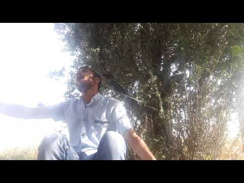 Seni doğduğuna pişman ederim...