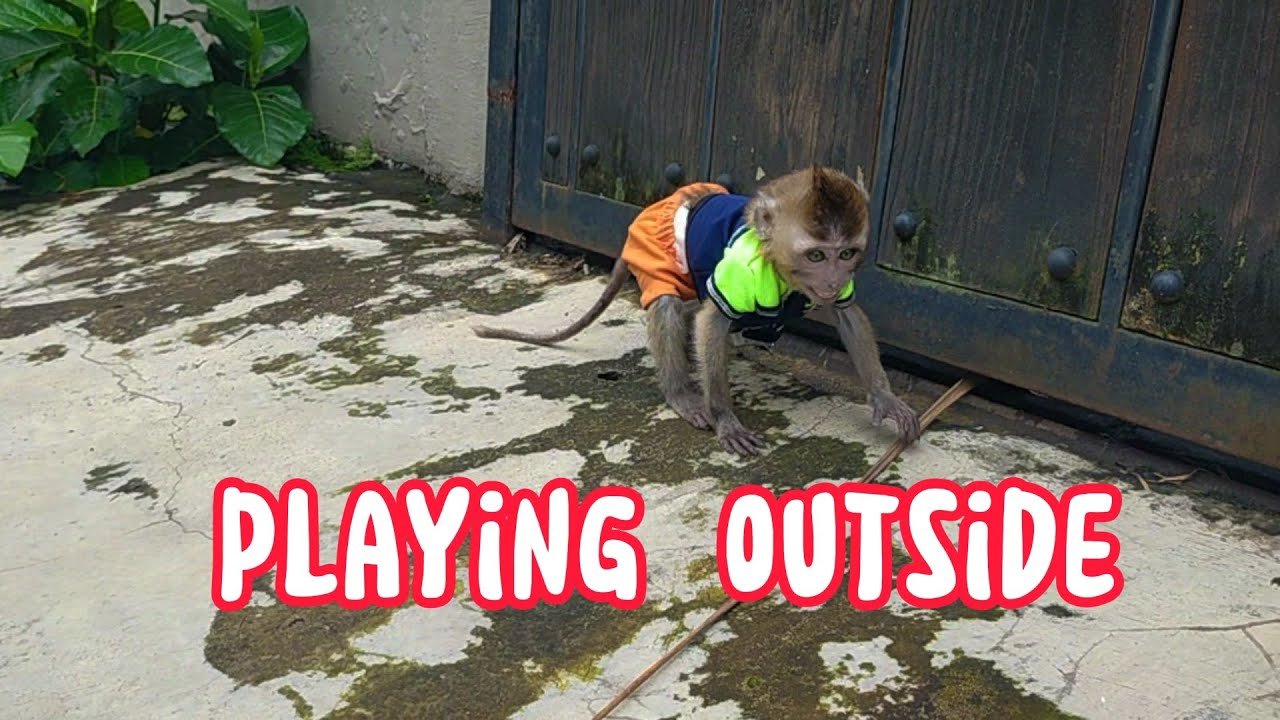 playing outside - YouTube