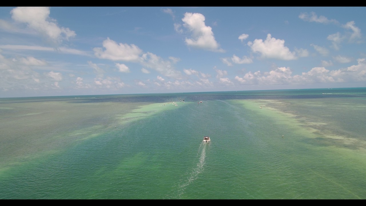 Florida keys sandbar - YouTube