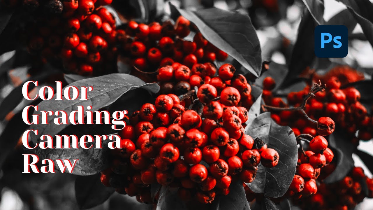 Color Grading Photoshop Camera Raw Presets | Adobe Camera Raw Presets ...