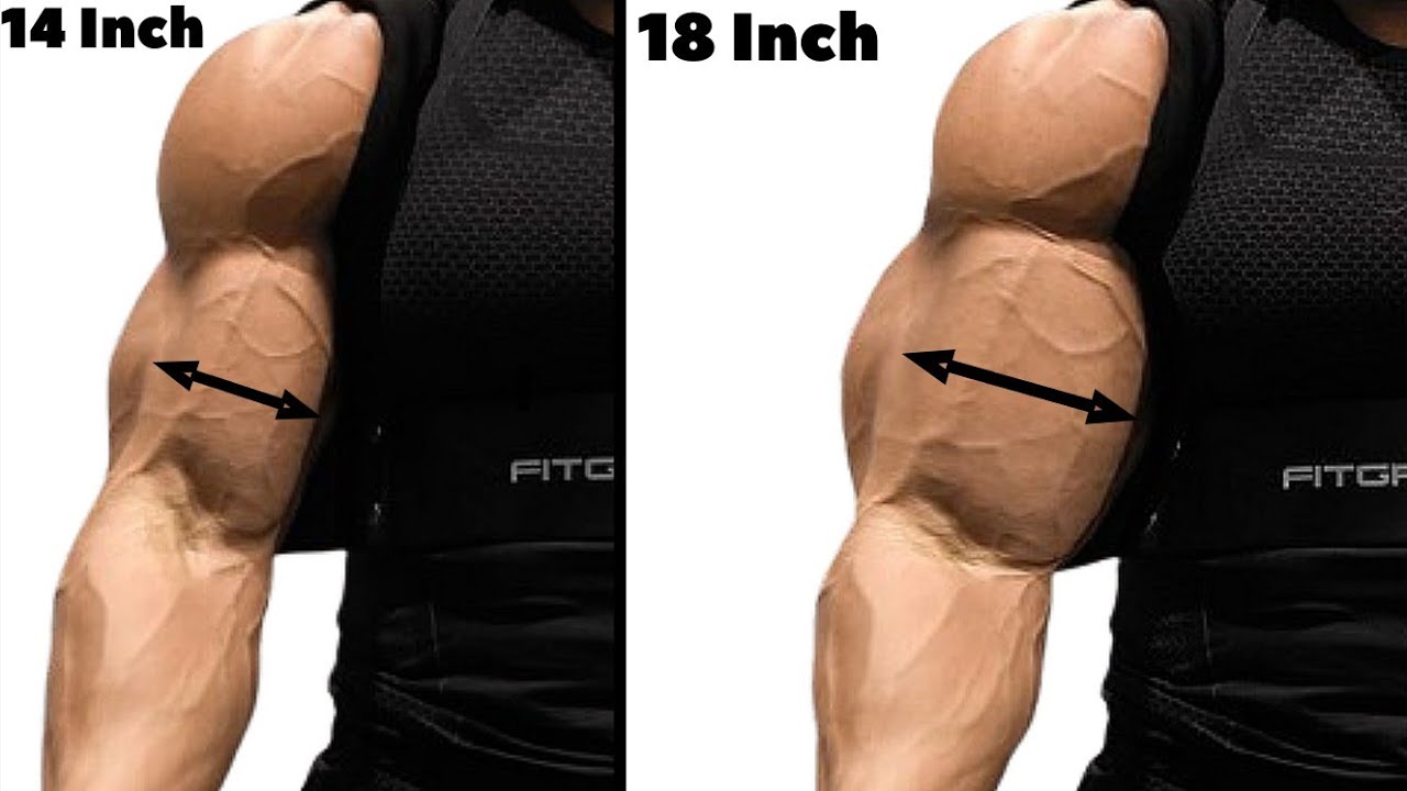 8 Greatest Bicep Exercises to Build Wider Biceps - YouTube