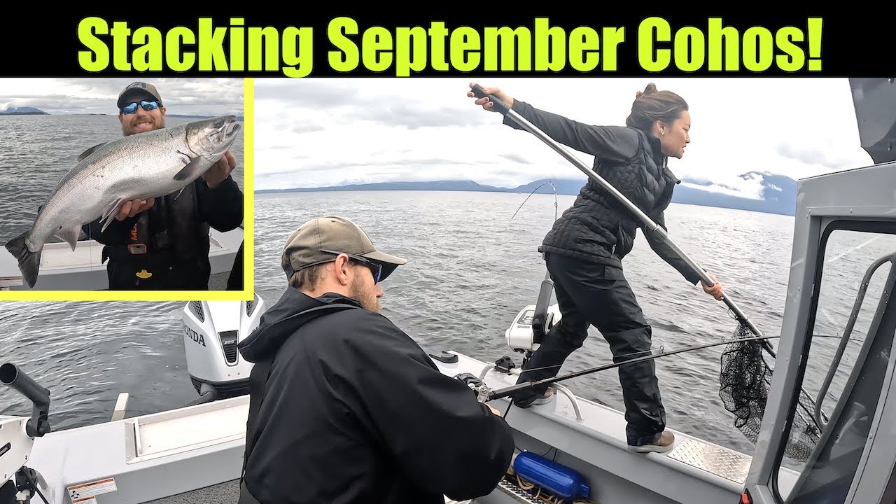 Stacking September Cohos! Alaskan Silver Salmon Fishing - Juneau ...