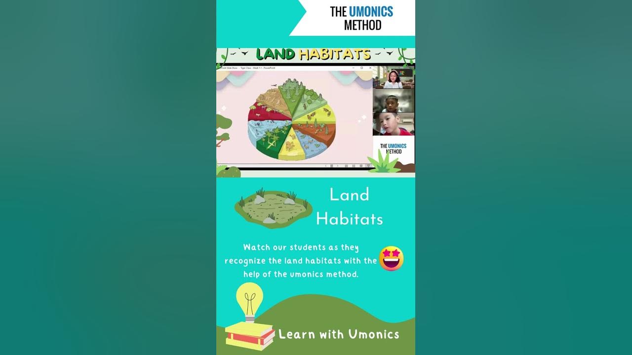 Nature Detectives: Exploring Land Habitats with Curious Kids! - YouTube