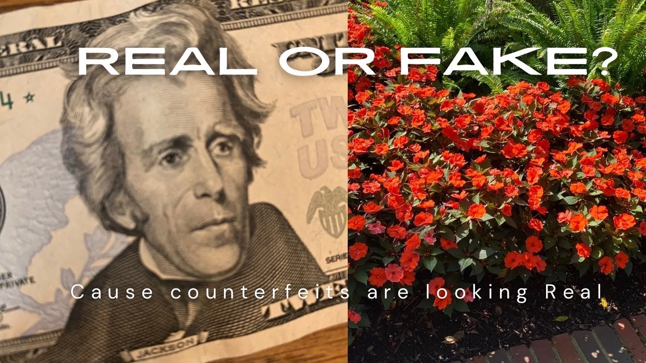Real or Fake? It's getting harder and harder to tell what's real and ...