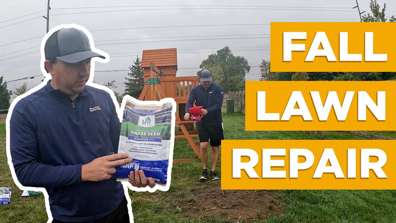 Step by Step Fall Lawn Repair - YouTube