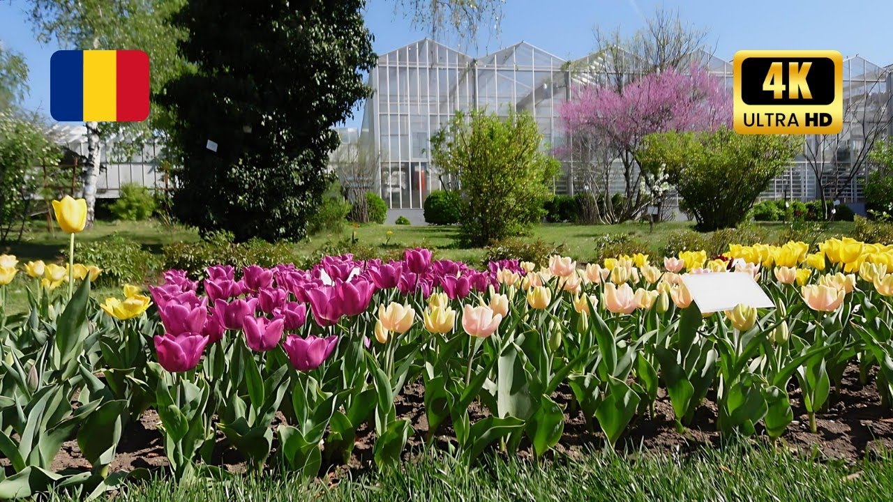 IASI BOTANICAL GARDEN CINEMATIC 4K VIDEO - YouTube