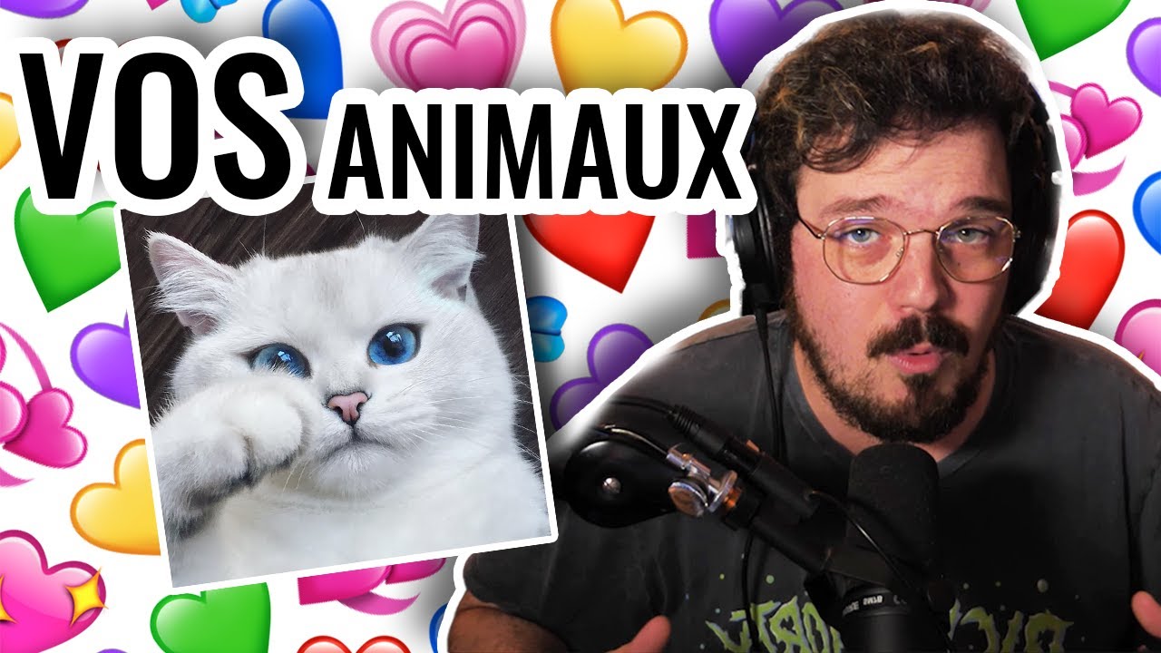 Les animaux des viewers 💛💙💚 (soirée wholesome) - YouTube