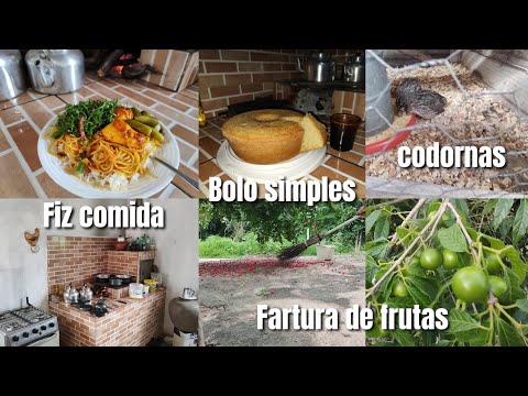 Comida da roça, Molho de ovo, bolo simples, muita fruta, codornas ...