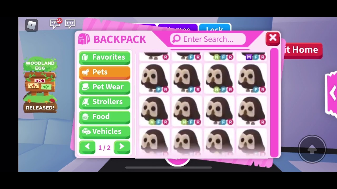 My adopt me pets for rh halo (NGF) I have 140+ proofs - YouTube