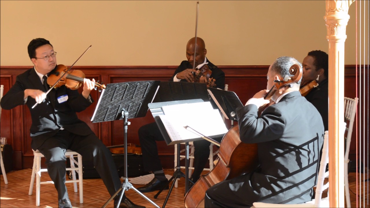 OMG: Best String Quartet Los Angeles - Hotel California (Eagles) Cover ...